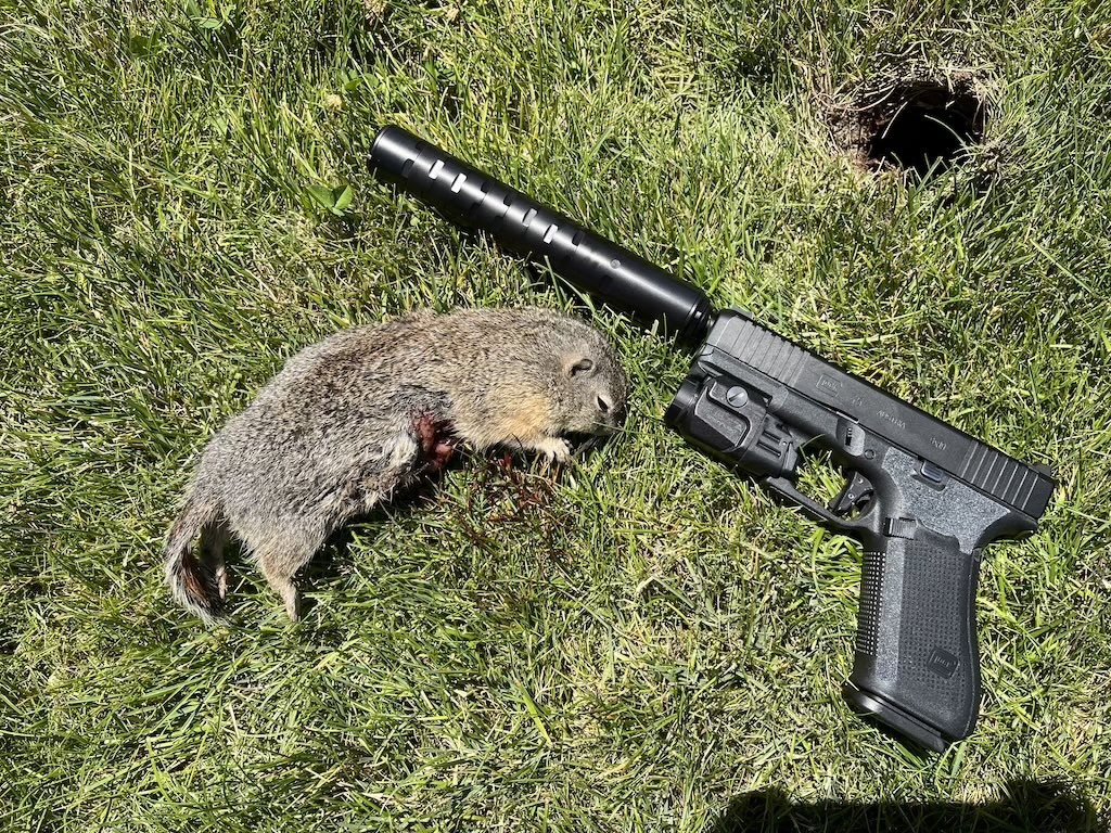 Glock vs Ground Squirrel - PianoClack Forum